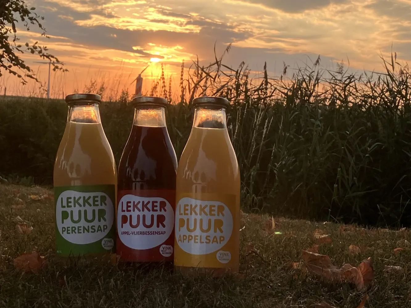 Peren, appel, vlierbessen, wortel, biet bij de boer - Berkenwolde “Silo ...