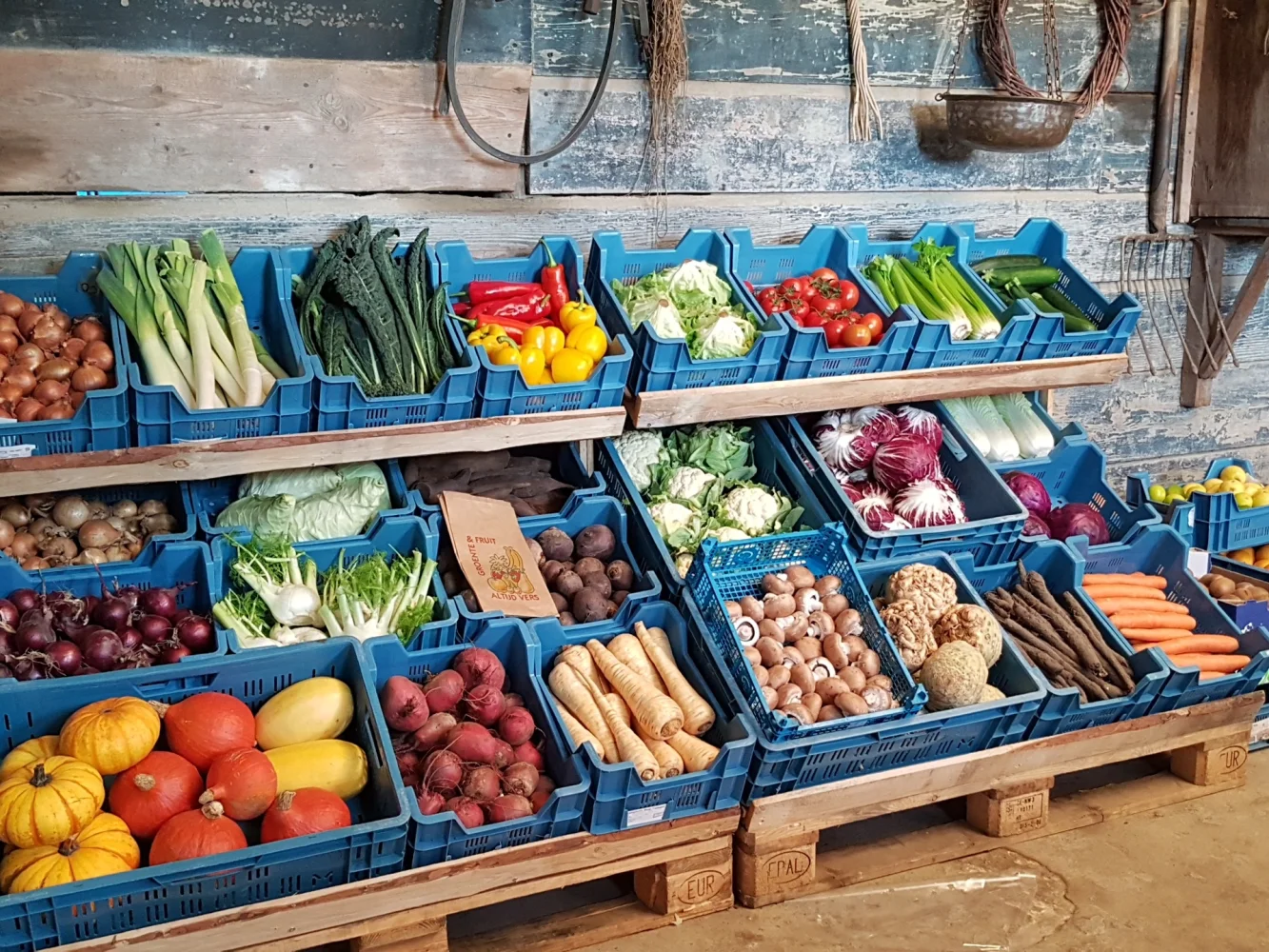 Biologische boerderijwinkel Hoeve Doelwyck - Boerderijwinkel, Stalletje ...