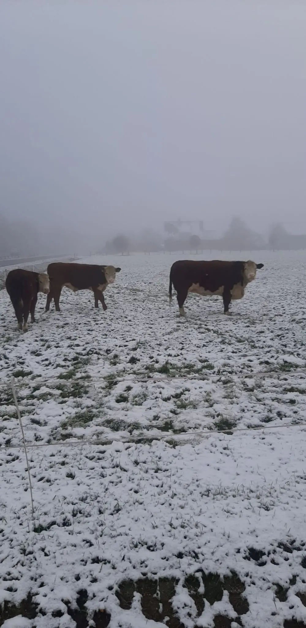 Boer Ben - Anders en Boerderij in Dalfsen