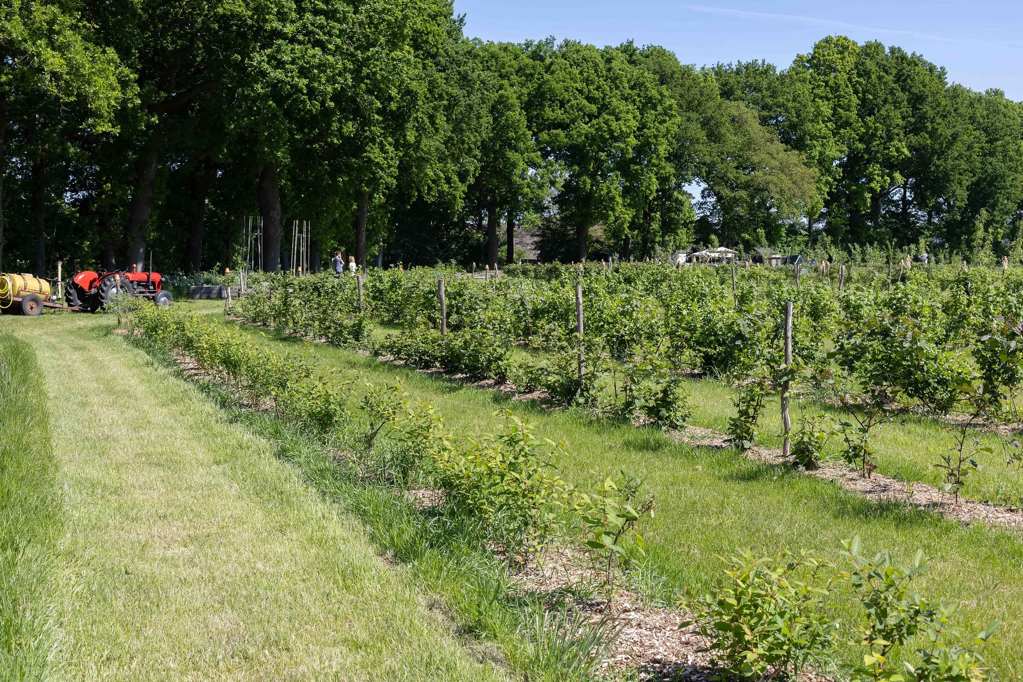 Boerderij de Oude Ruif - Boerderij, Anders, Boomgaard en Stalletje in ...