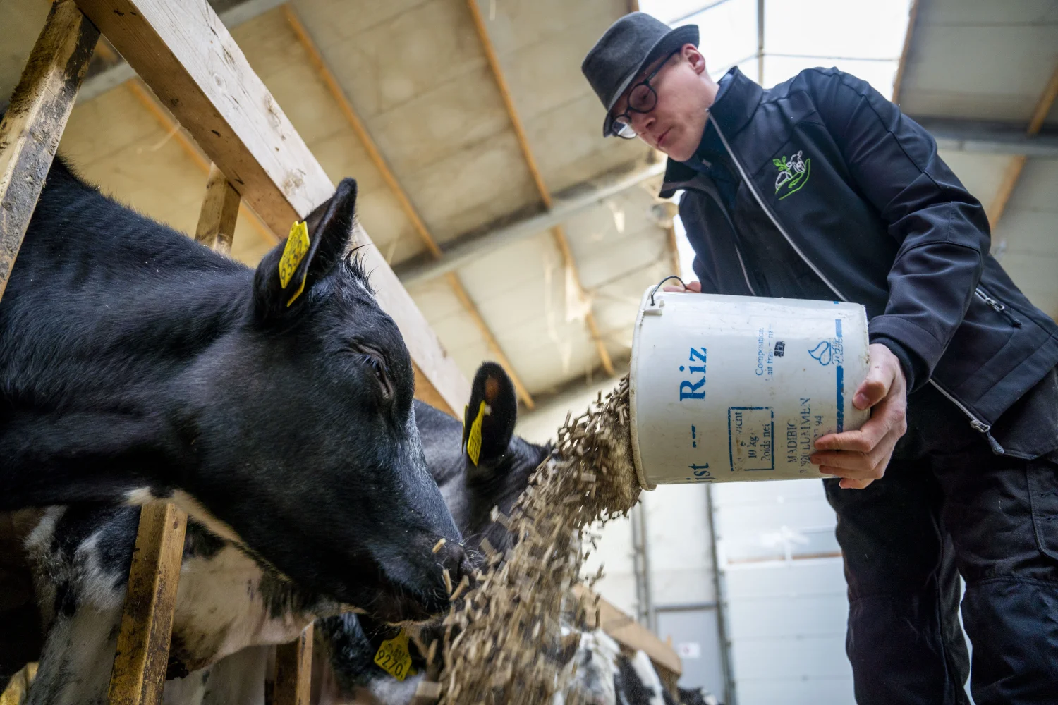 Boerderij Eben-Haëzer - Boerderijwinkel, Boerderij en Melktap in Nieuw ...
