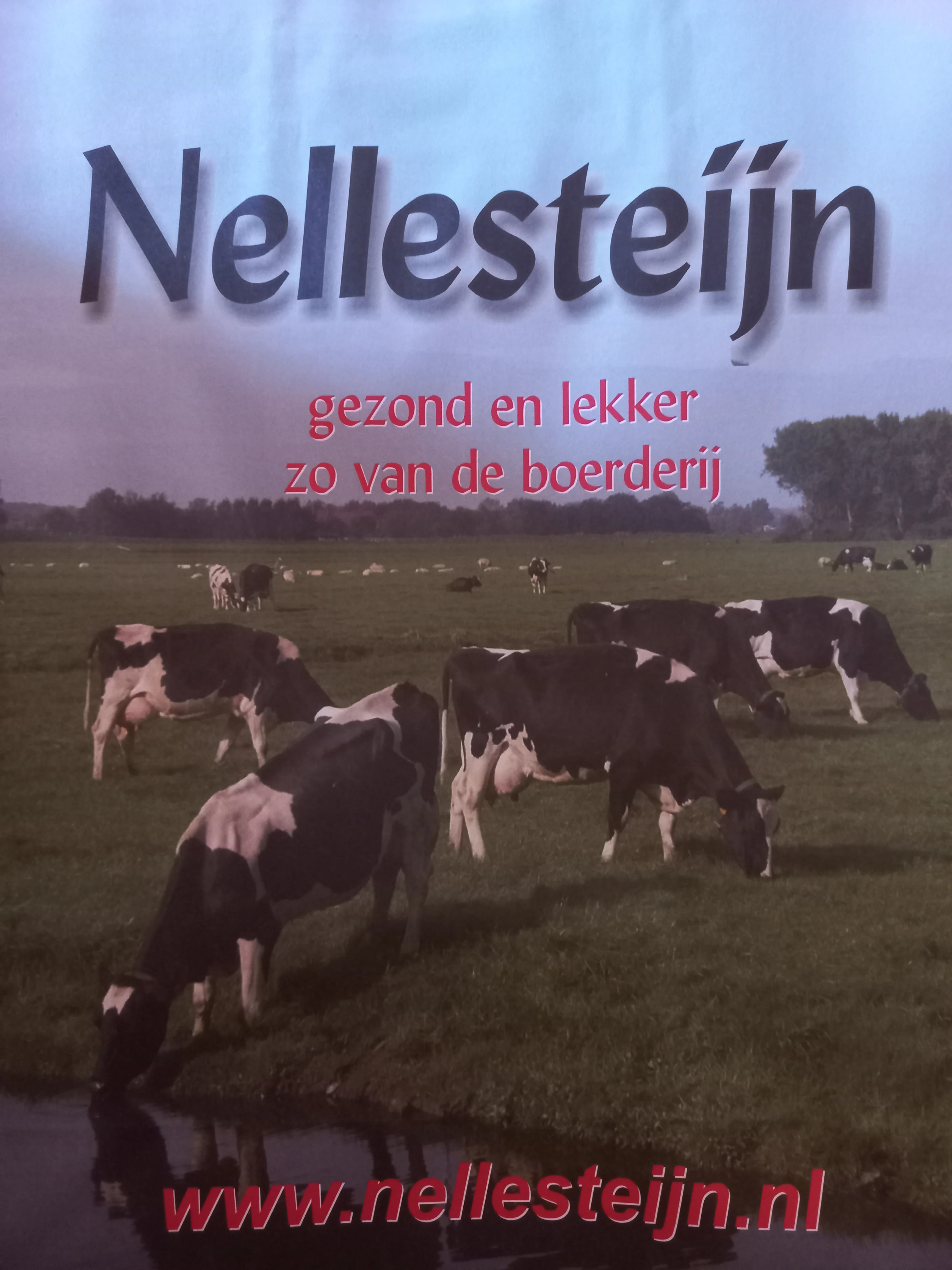 Boerderij Nellestijn - Boerderijwinkel en Boerderij in Wassenaar