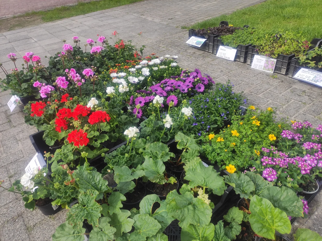 Buuner Boertje - Stalletje en Kwekerij in Nieuw-Buinen