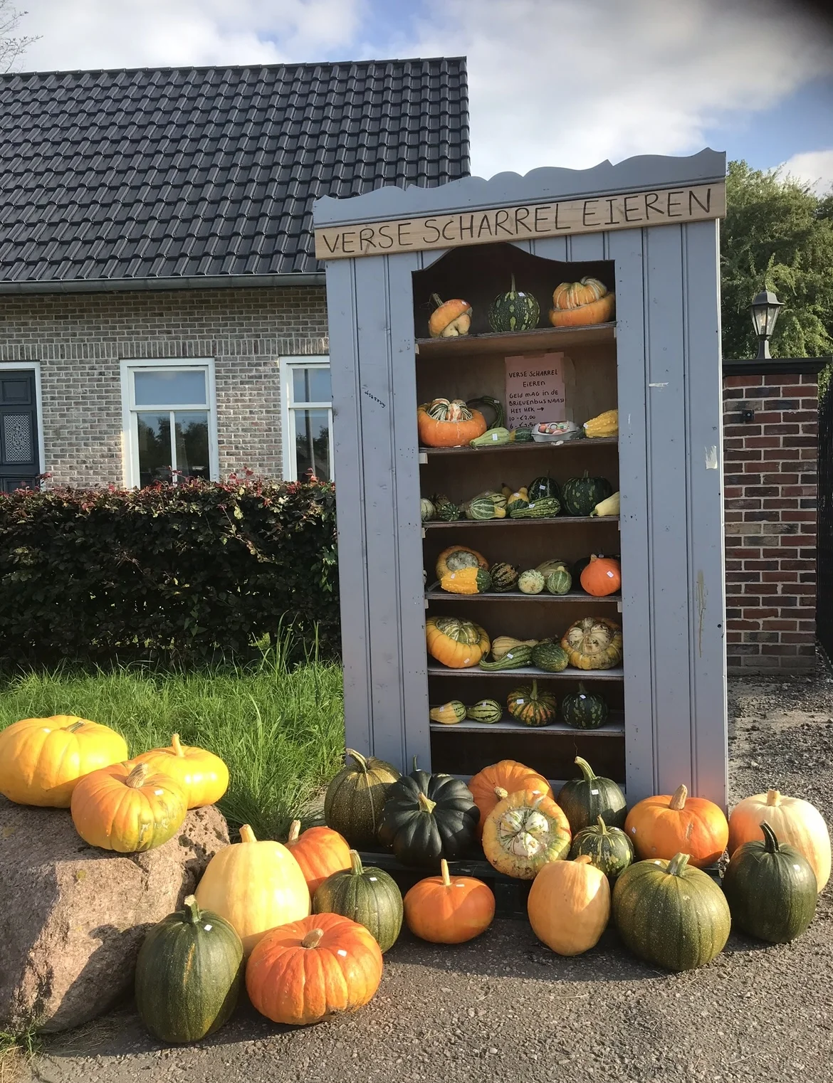 Eitjes van Sofie en Lieke - Stalletje in Groningen