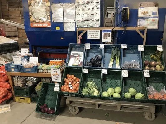 Familie Wierenga - Boerderijwinkel en Boerderij in Munnekezijl