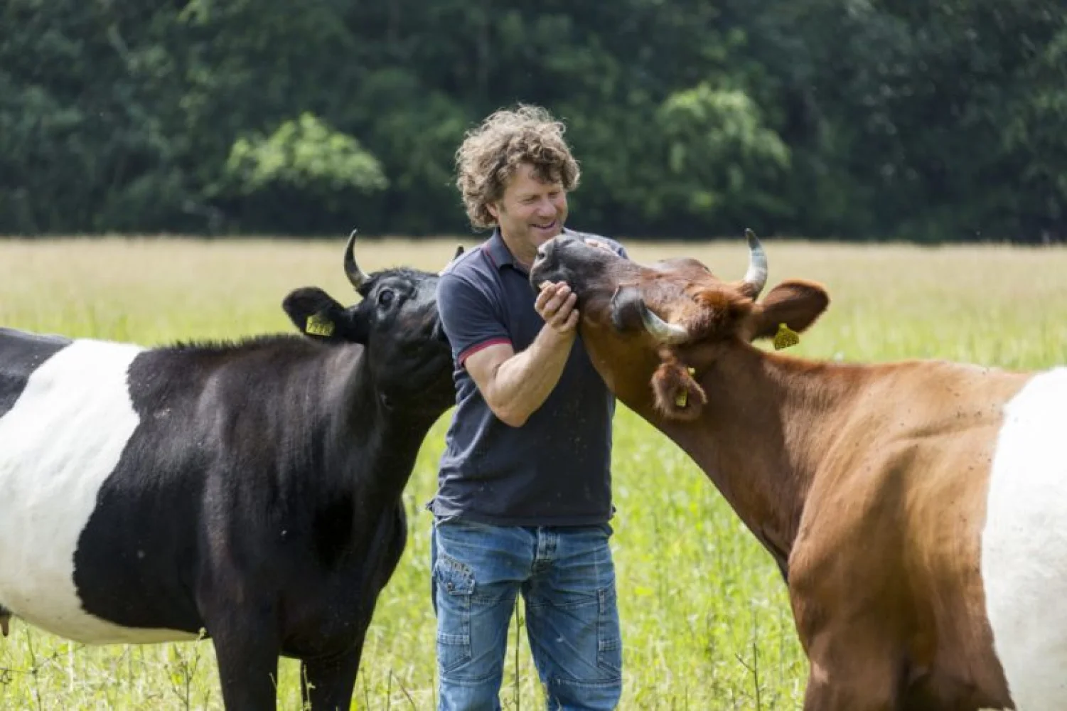 Koeien van Jelle - Boerderij, Anders en Boerderijwinkel in Enschede