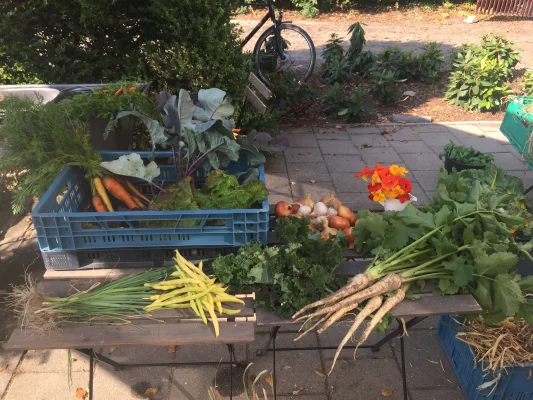 Moestuin landwinkel Landgoed Zuylestein - Boerderijwinkel, Landwinkel ...
