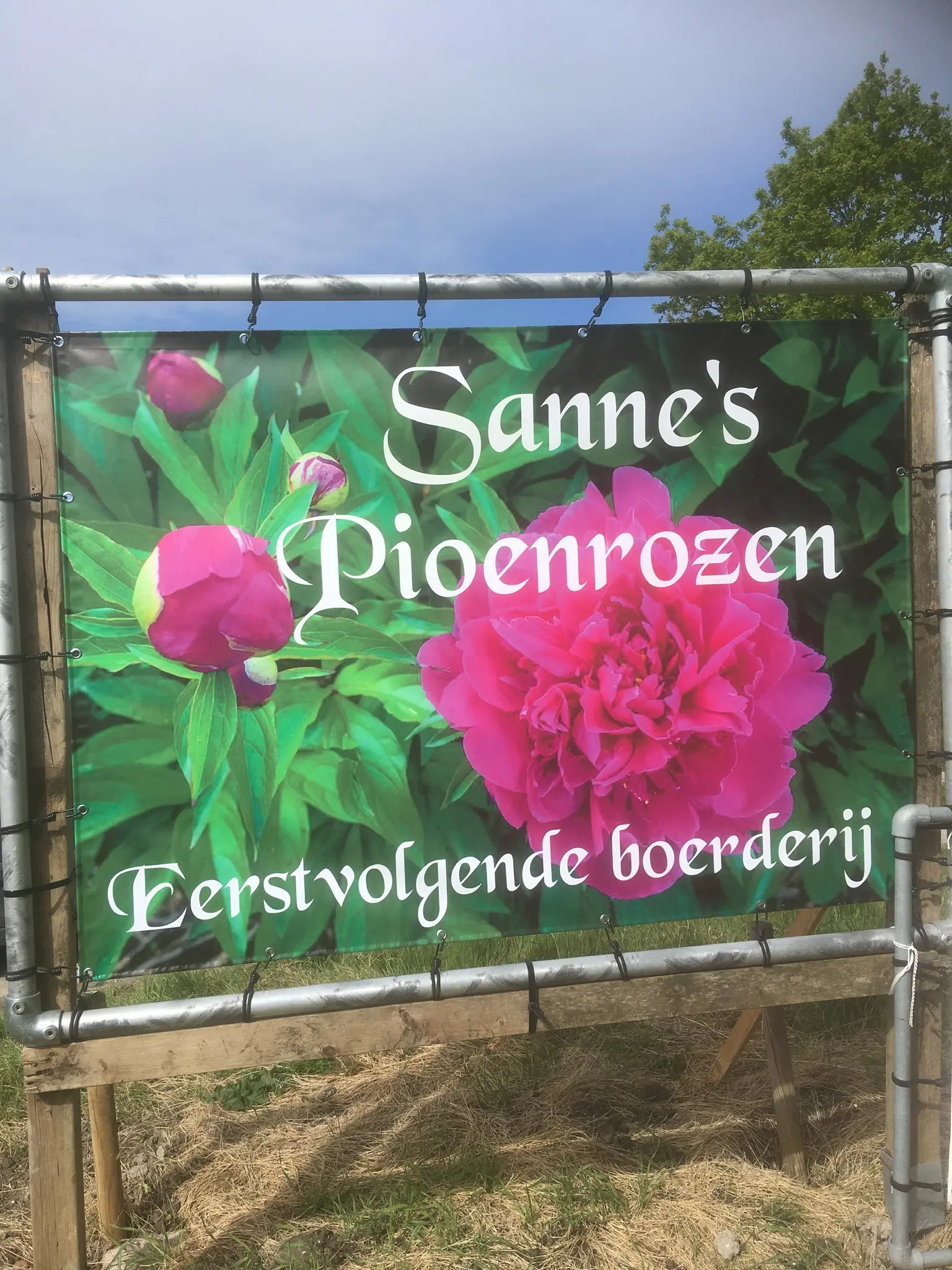 Sanne’s Zonnebloemen - Stalletje, Kwekerij en Boerderij in Slootdorp