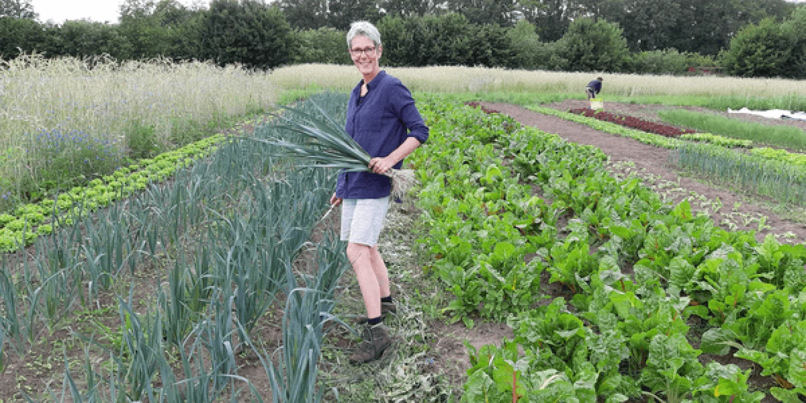 Tuinderij Vosbeek - Anders in Scherpenzeel