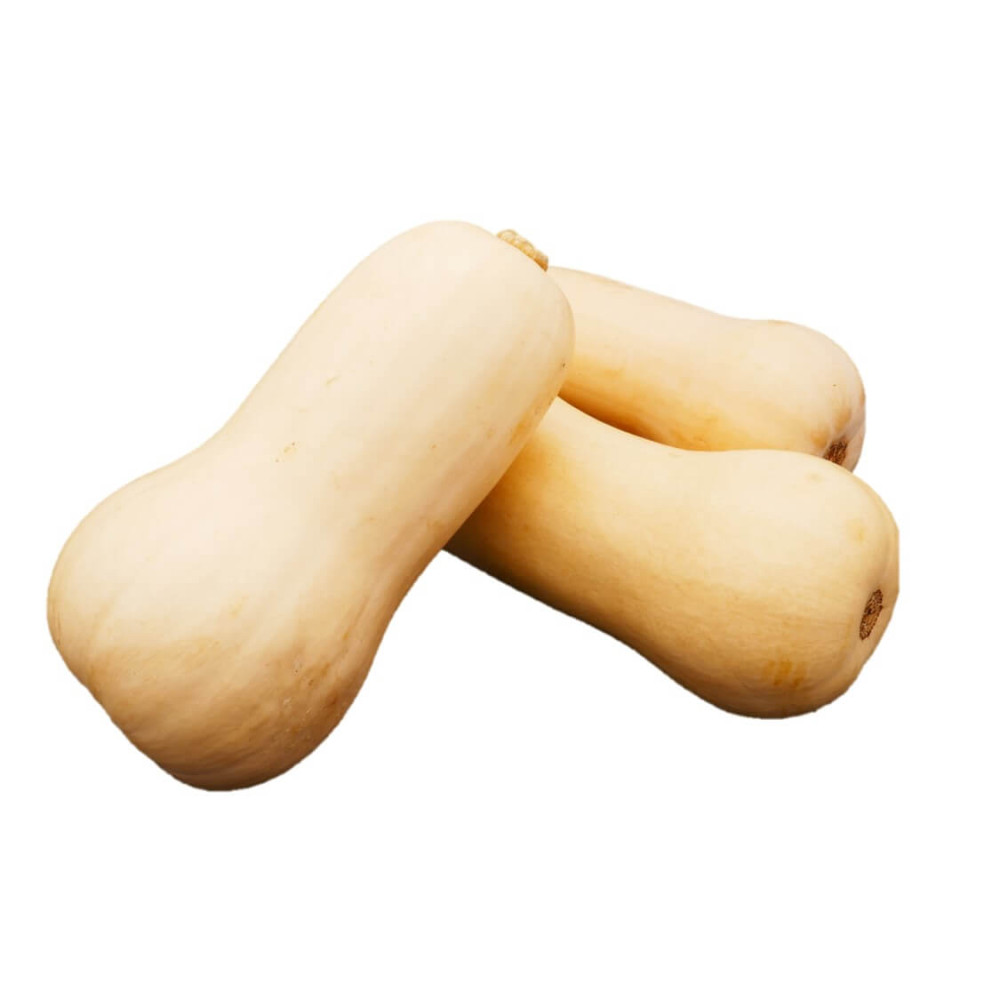 Pompoen fles, groot bij de boer - Vitaminehoek De Kragge Pompoen fles, groot bij de boer - Vitaminehoek De Kragge