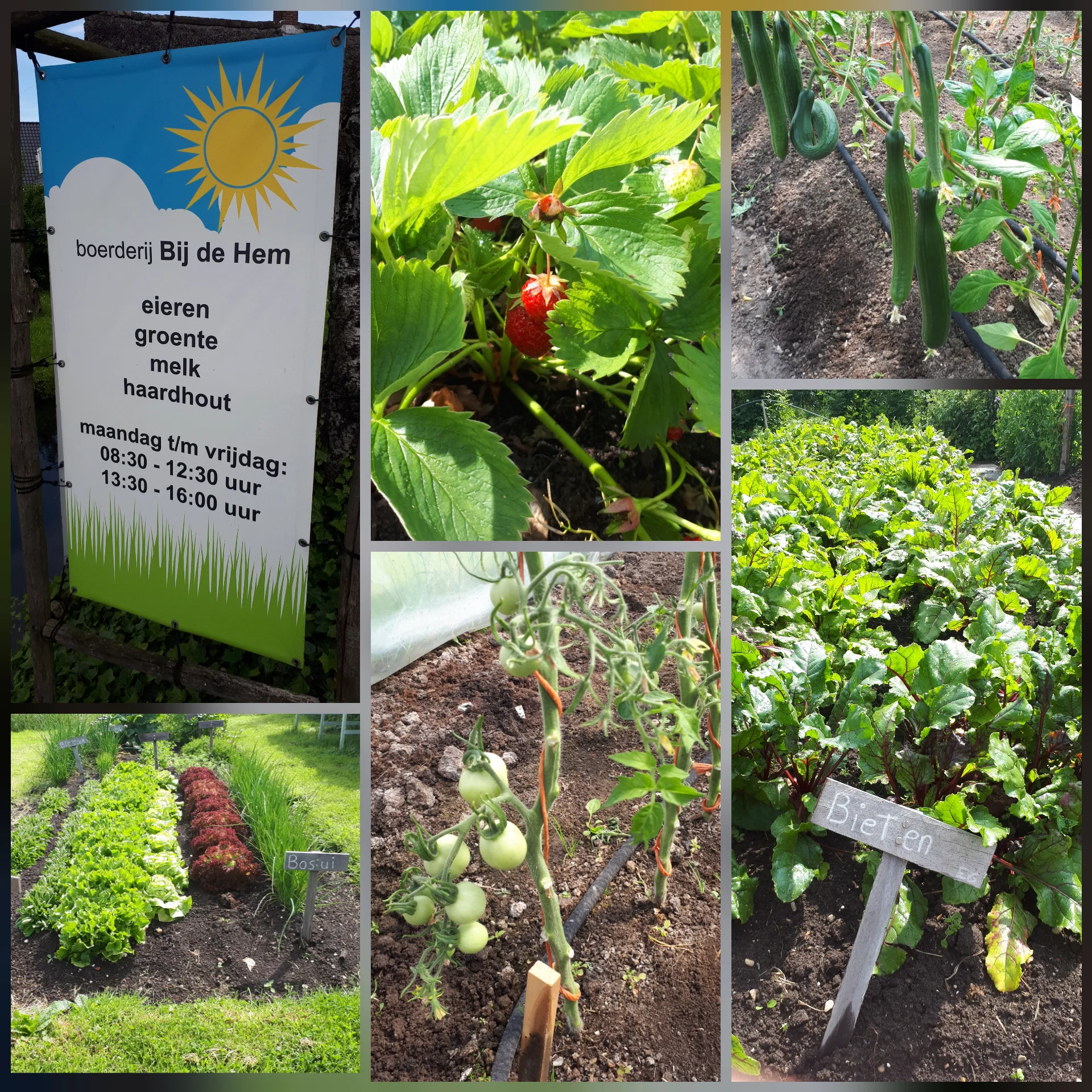 Zorgboerderij "Bij de Hem" - Boerderijwinkel en Boerderij in Schoonhoven